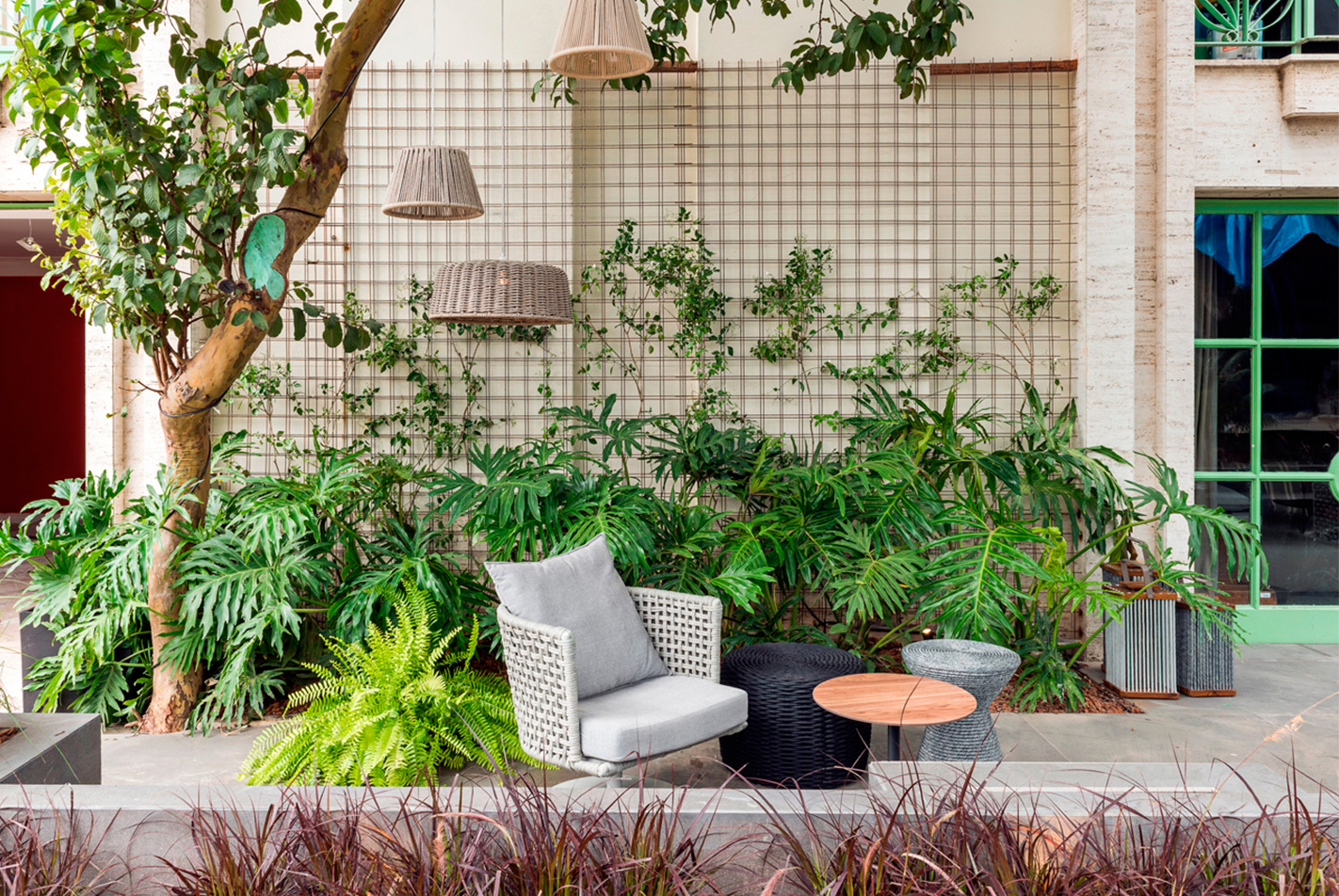 Biofilia: qué es y cómo incorporarla a la arquitectura