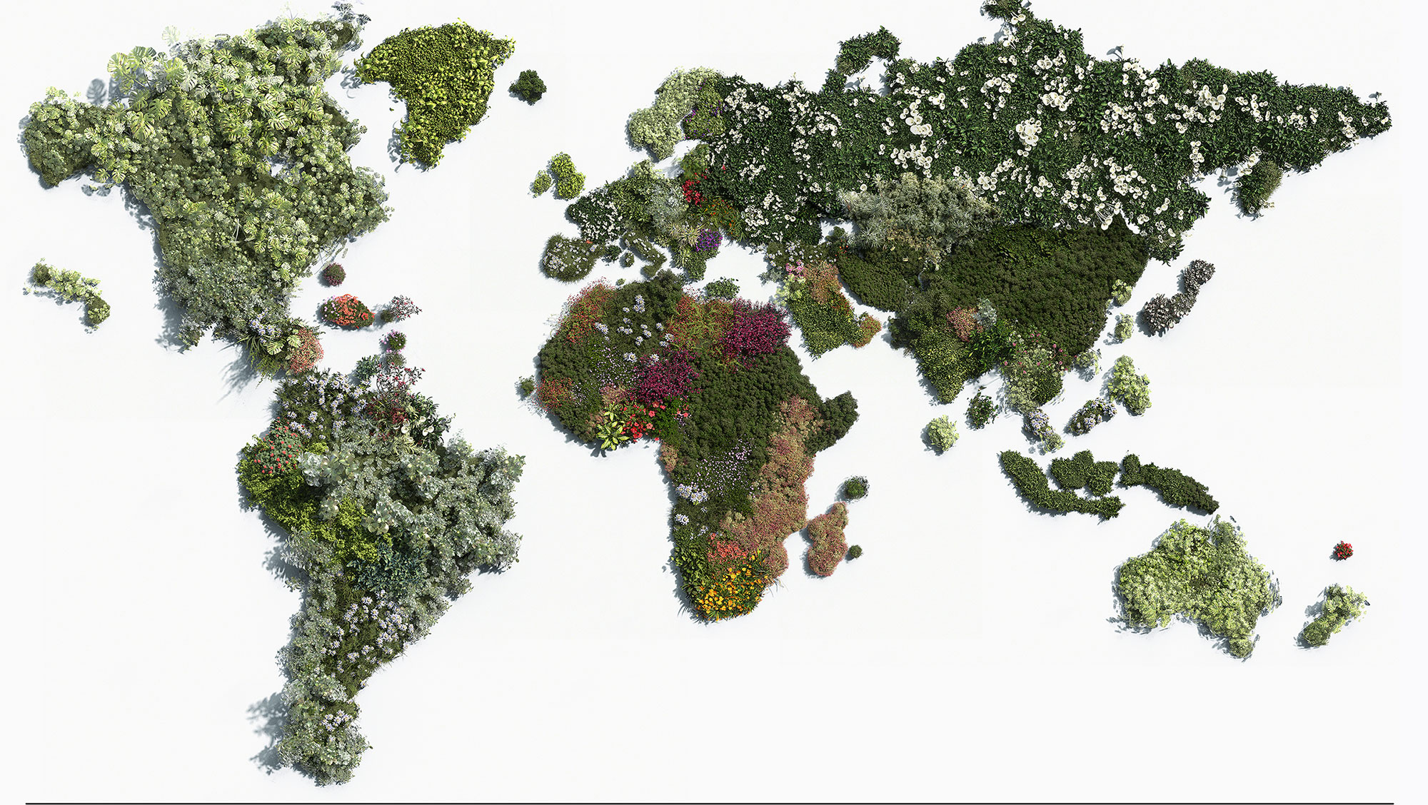 ¿Cuáles son las especies de plantas más populares en cada país del mundo?