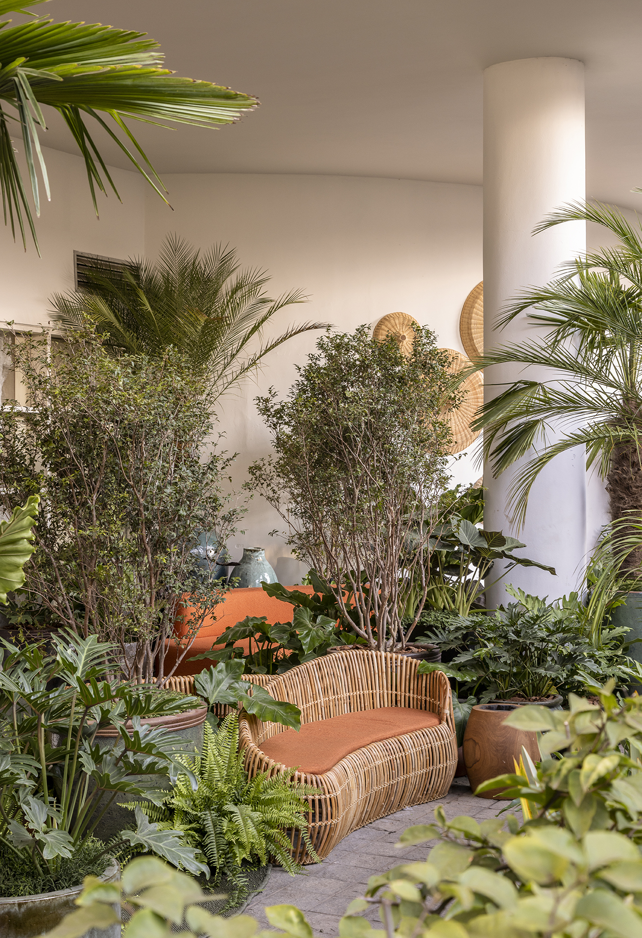 Exotic and native plants: learn how to identify and grow them