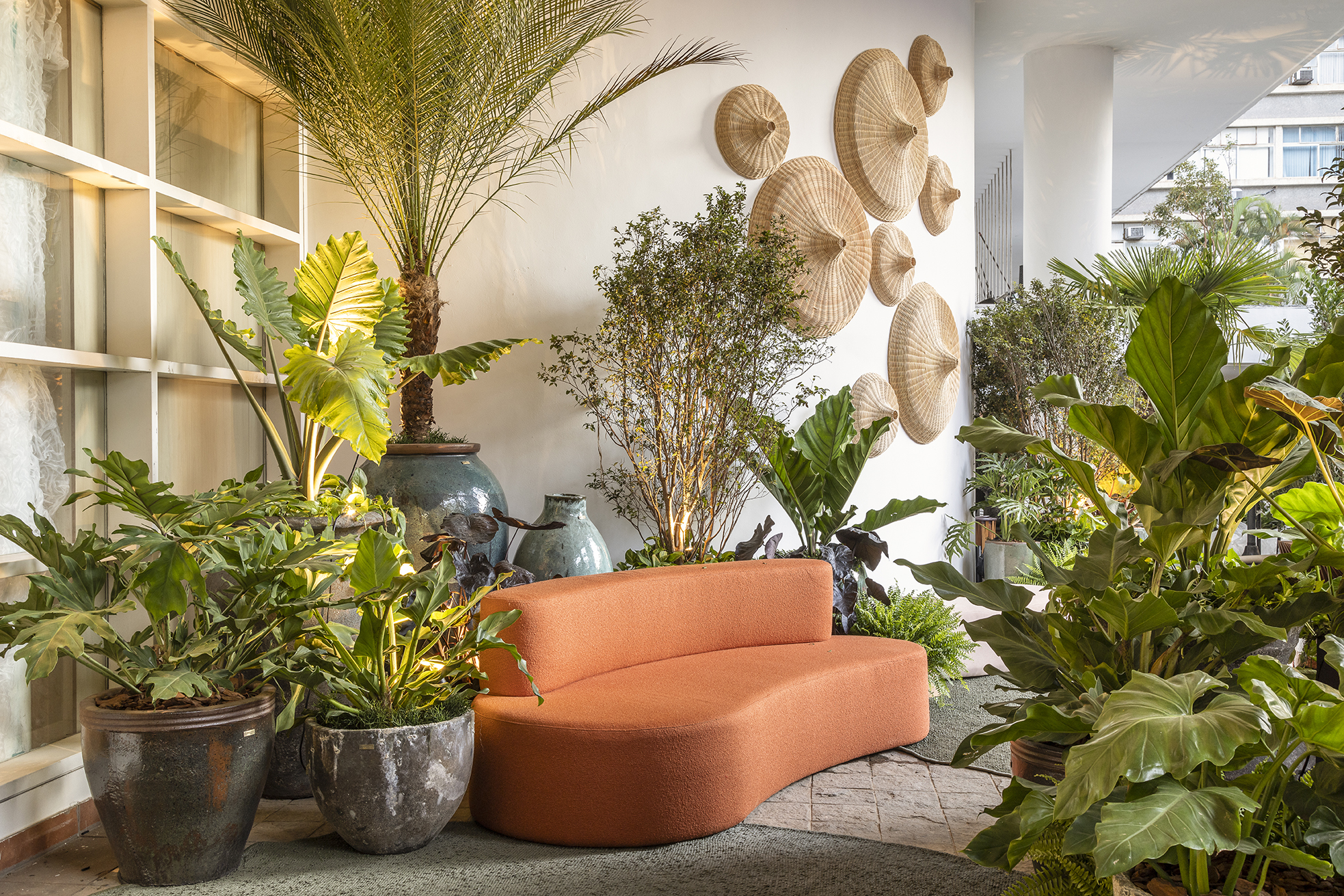 Exotic and native plants: learn how to identify and grow them