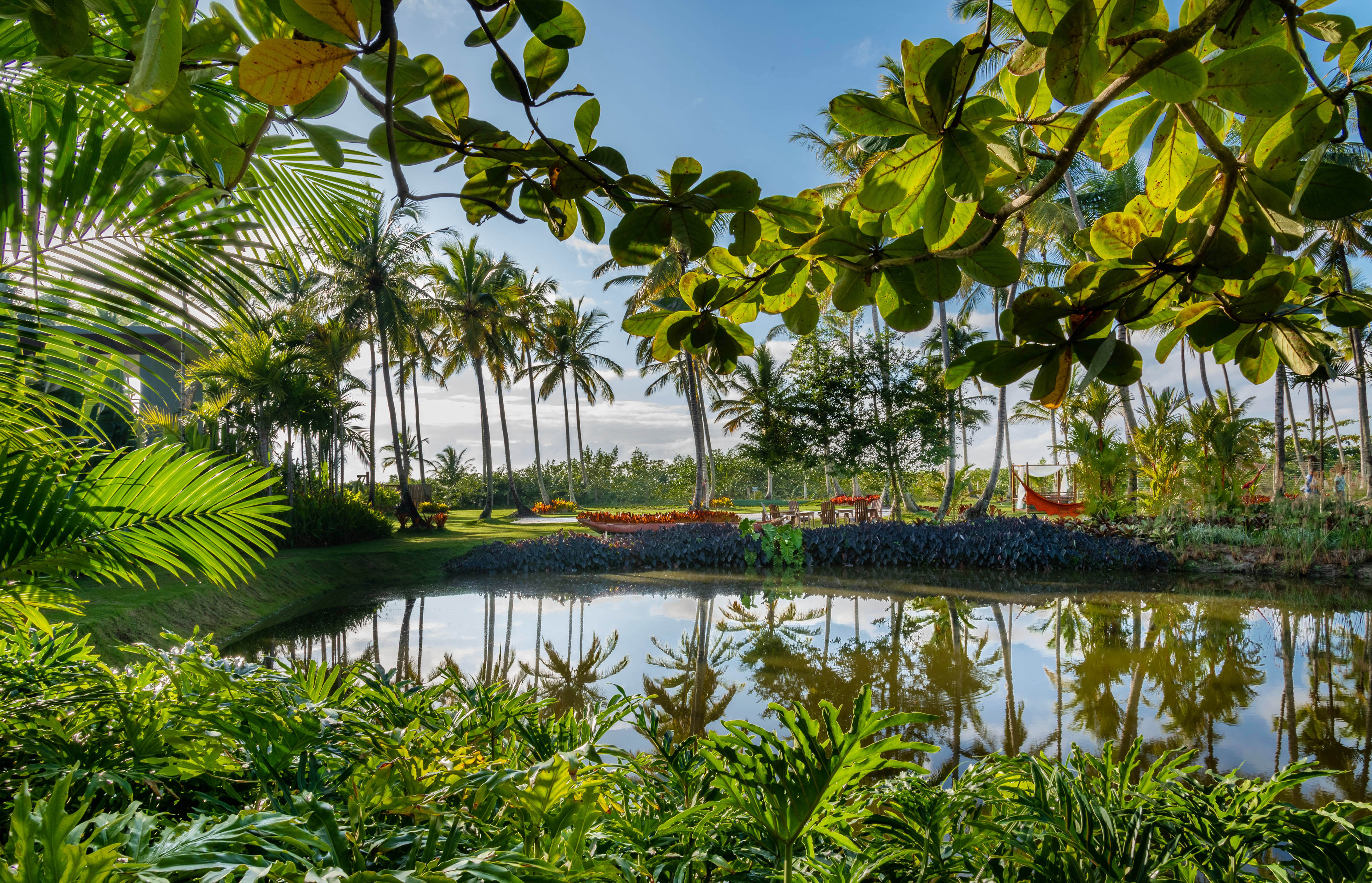 Jardim de 6 mil m² ganha paisagismo repleto de Mata Atlântica