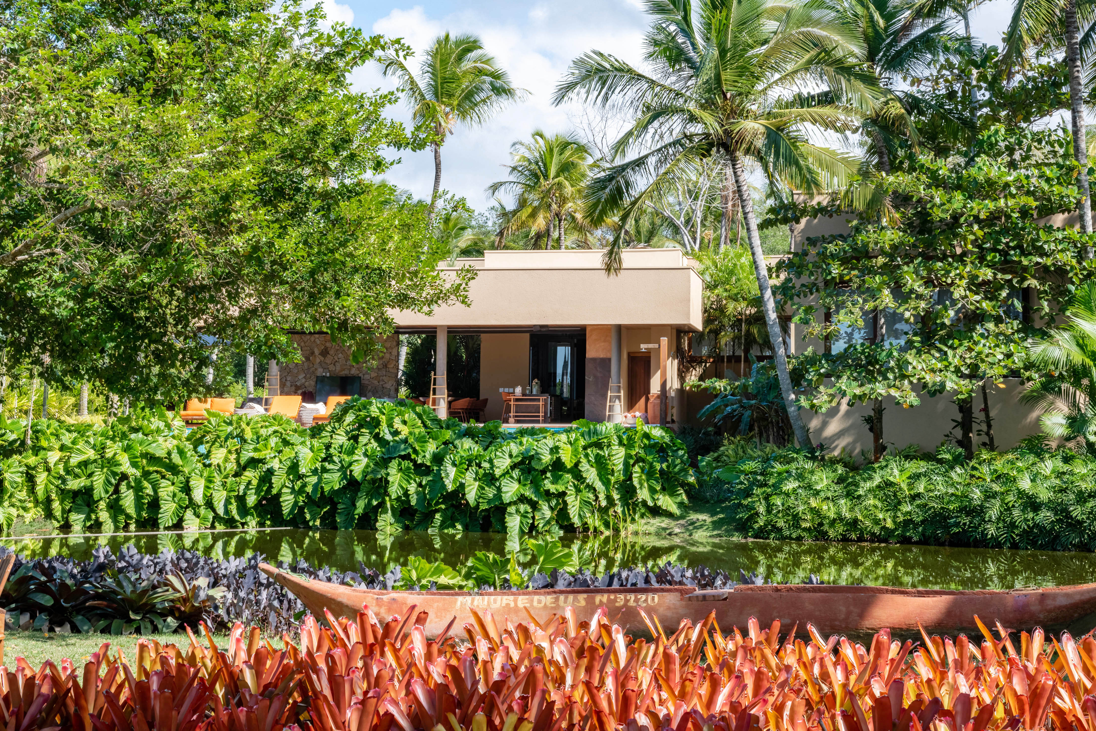 Plantas ornamentais mais populares para cultivar em casa