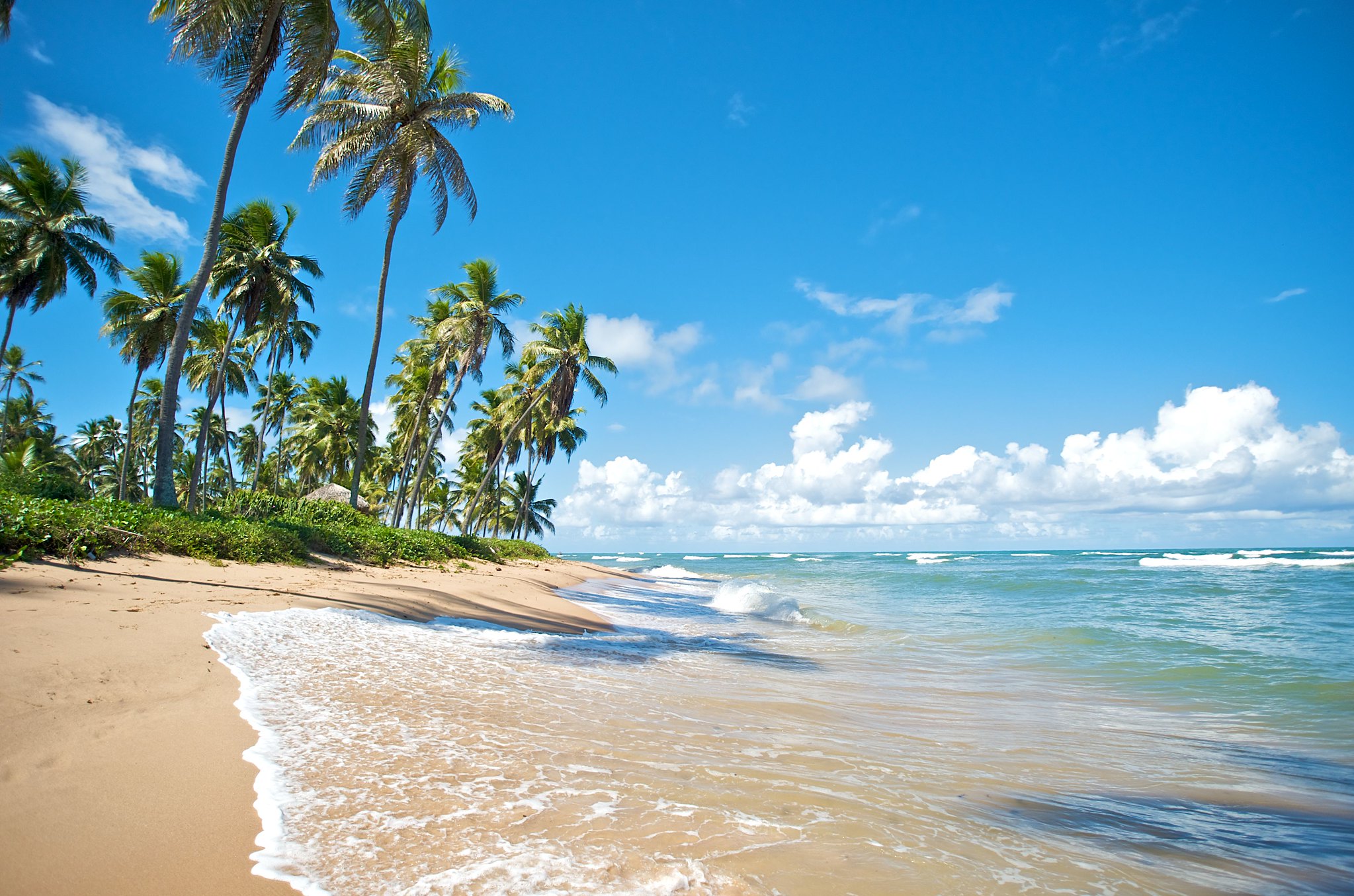 Salvador Bahia Beaches