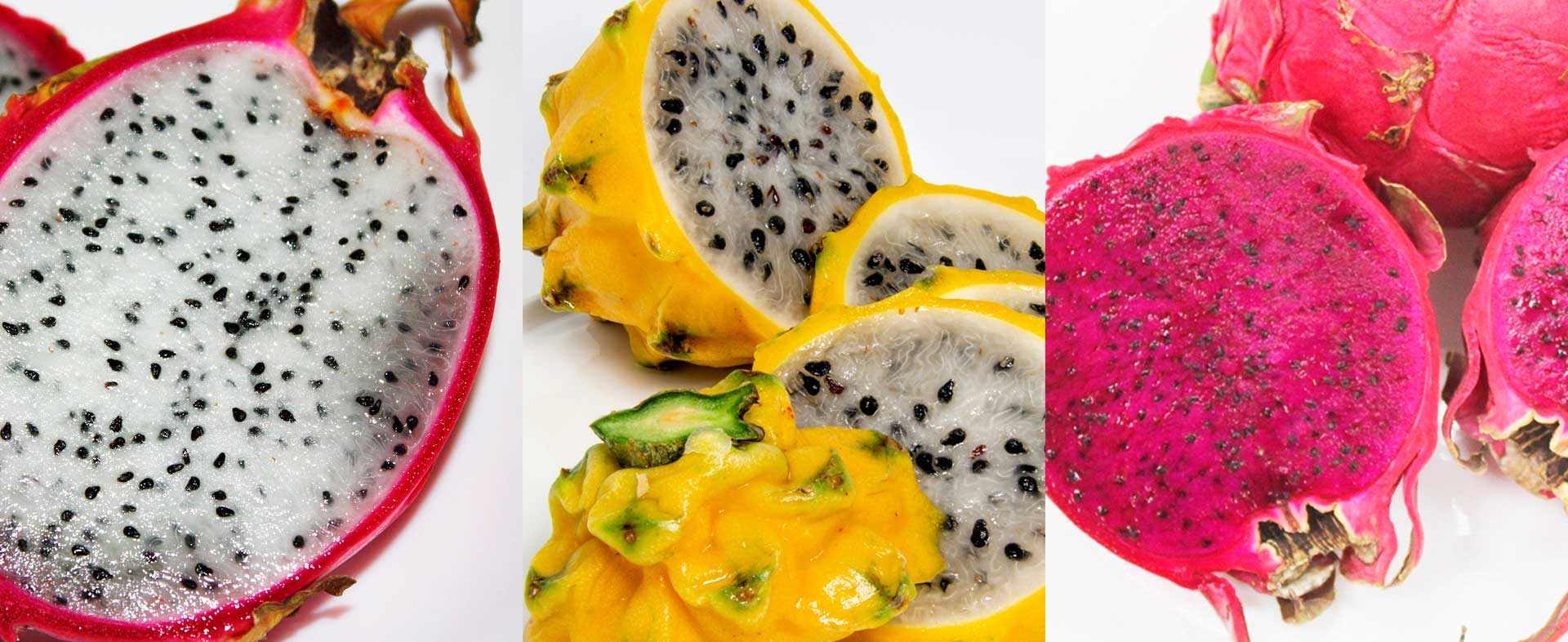 Fruta Pitaya Amarela Pitaya: 10 Motivos Para Você Começar A Comer