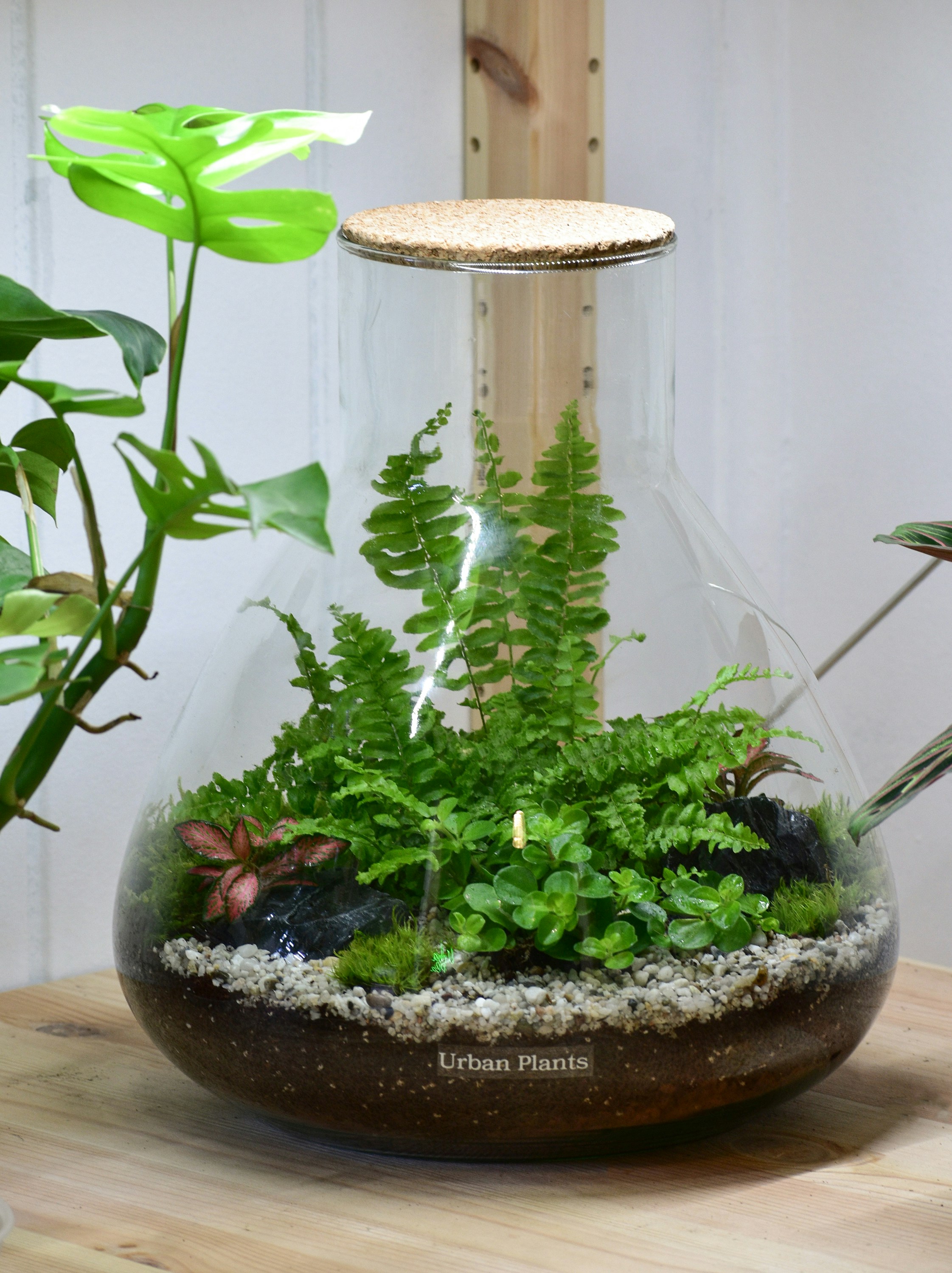 20 tipos de terrários para se inspirar e decorar o seu lar